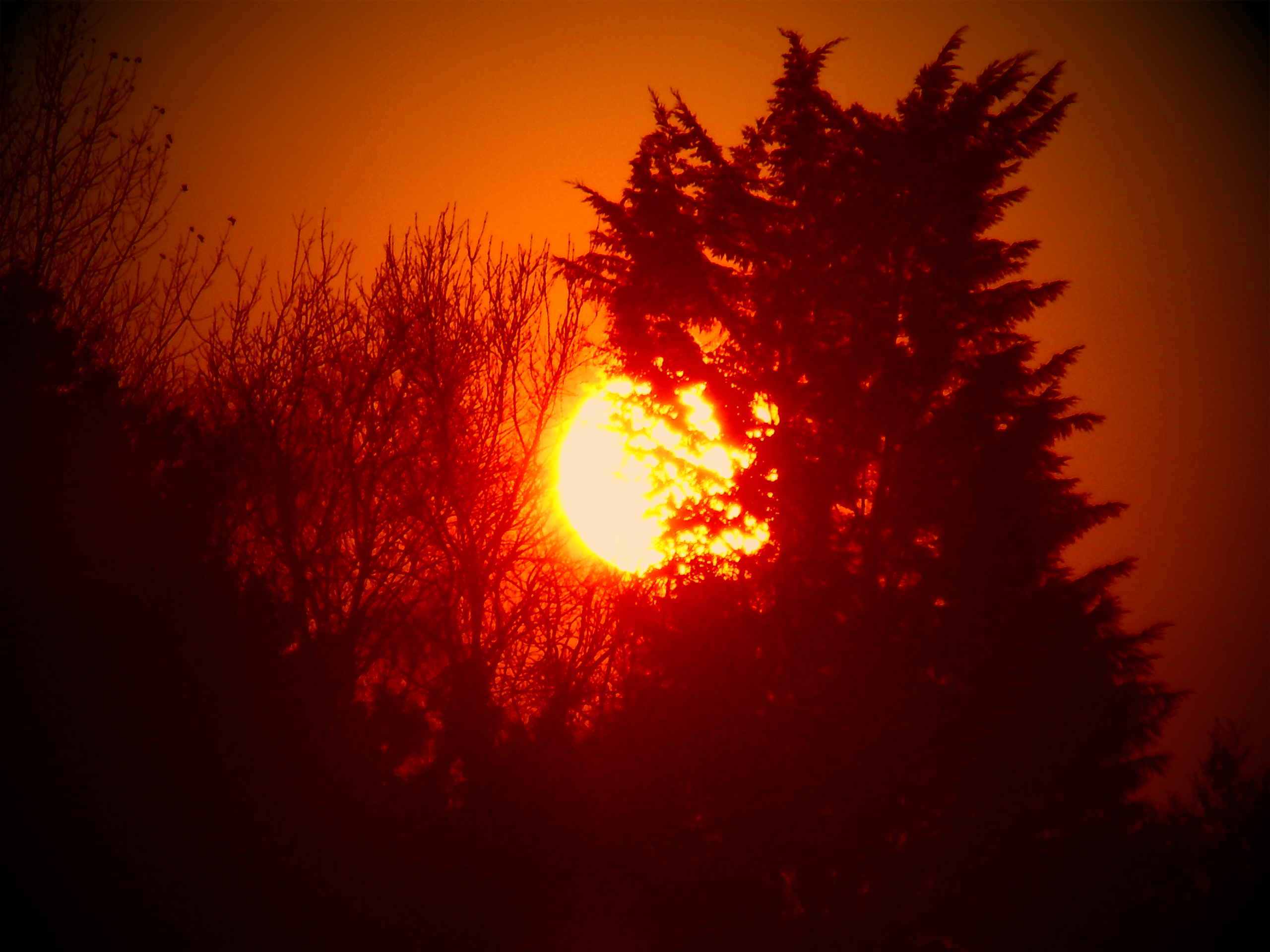 The Sun – Shining God’s Glory. – WELCOME TO CREATION RESEARCH UK