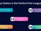 Why Python Is The Perfect First Language