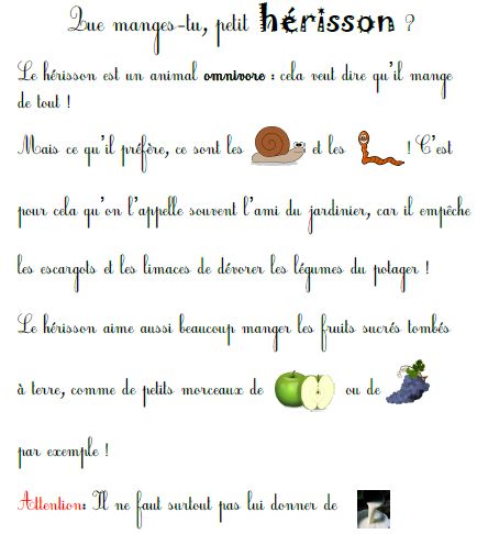 Un livret d'activités gratuit sur le hérisson et sa vie (free printable)