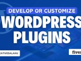 Develop Or Customize Wordpress Plugins Creative Salahu