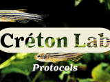 Creton Lab