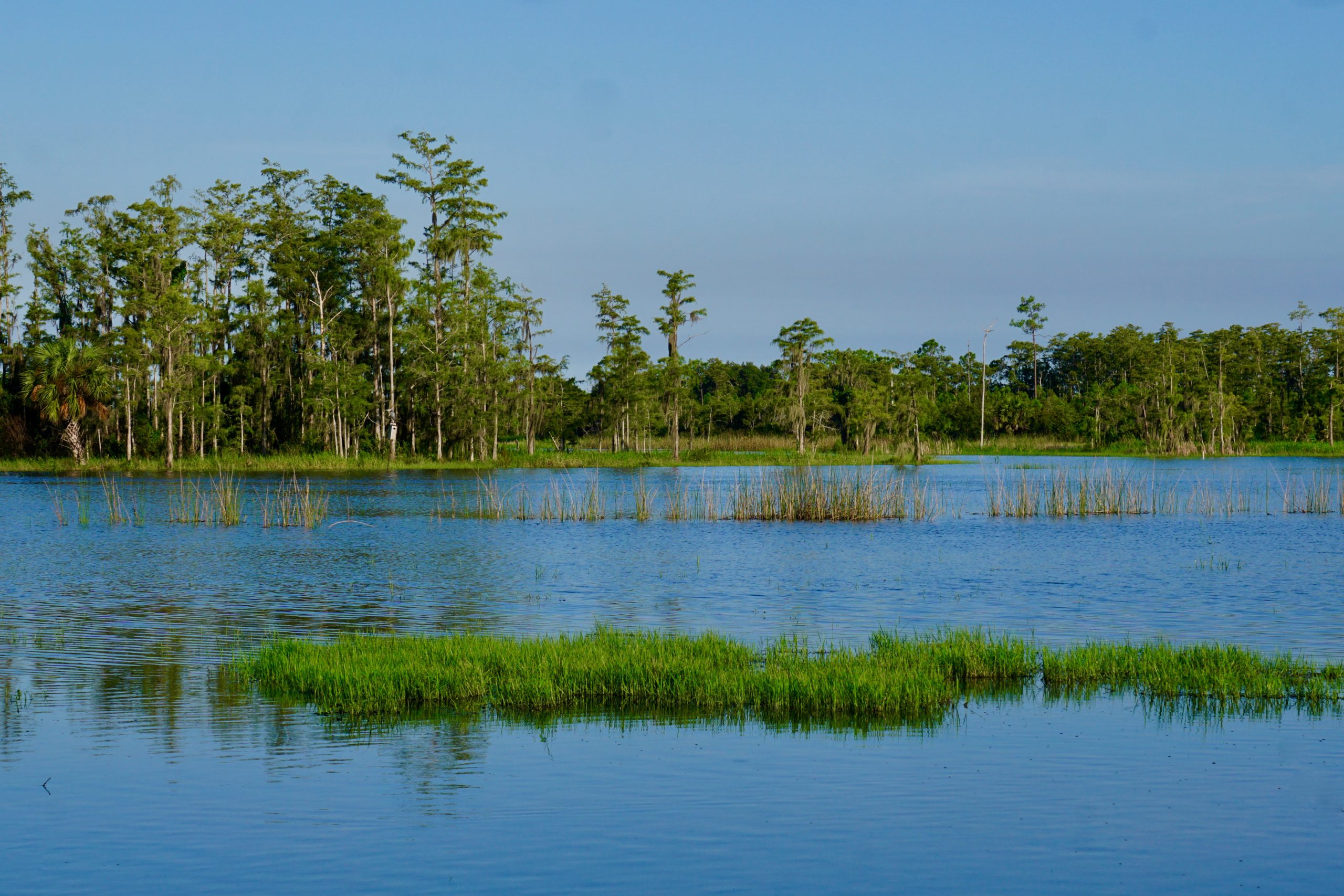 History of Flint Pen Strand: Part One » CREW Land & Water Trust