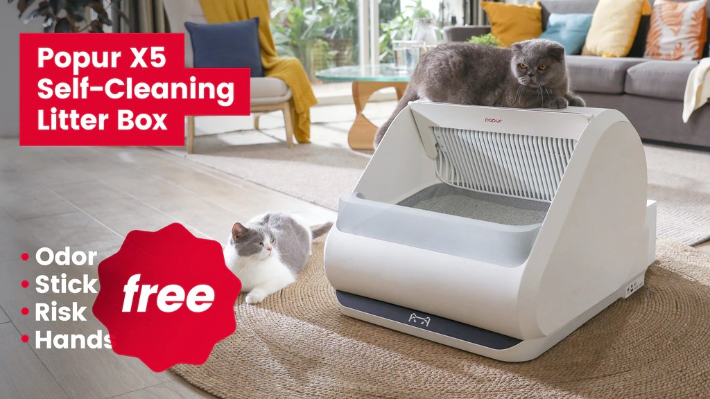 Popur X5 self-cleaning cat litter – Critical Bears