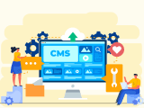 Cms Development Services Custom Cms Development Agency