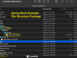 Spring Boot Project Structure