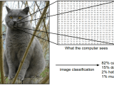 Computer Vision And Convolutional Neural Networks Ailephant