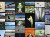 Css In Real Life Css Masonry Layout Syntax