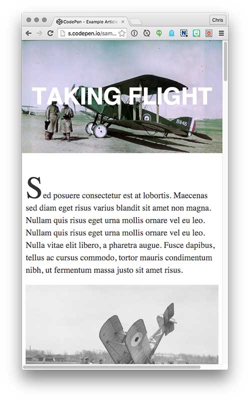 Taking AMP for a Spin | CSS-Tricks - CSS-Tricks