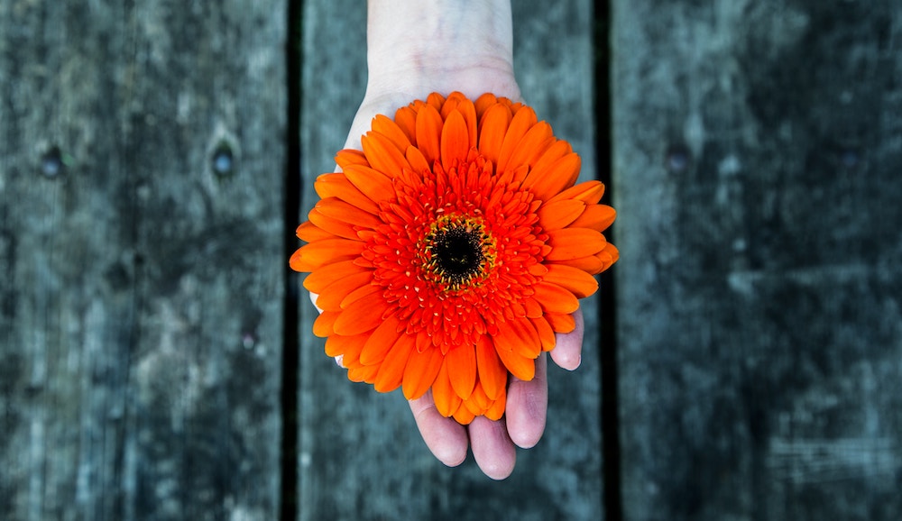 Using Css Clip Path To Create Interactive Effects Css Tricks Css Tricks