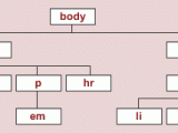 Selectutorial The Document Tree It S A Family Thing