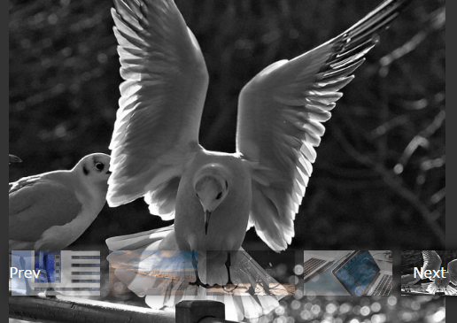 10 Best Galleries In Pure Javascript And Css 2022 Update Css Script