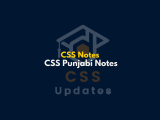 Css Punjabi Notes Css Updates