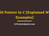 Wild Pointer In C Explained With Examples