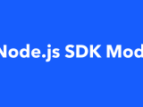 Node Js Sdk Sdk Cto Ai Product Docs