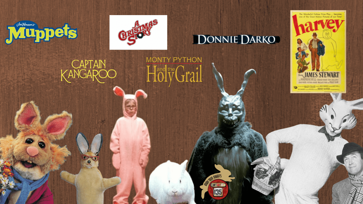 Know Your Rabbits - Curator 135 - Odds and Ends