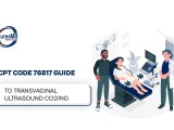 Cpt Code 76817 Transvaginal Ultrasound Billing Guide 2025