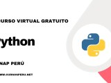 Curso Virtual Gratis Python De Cenap Perú