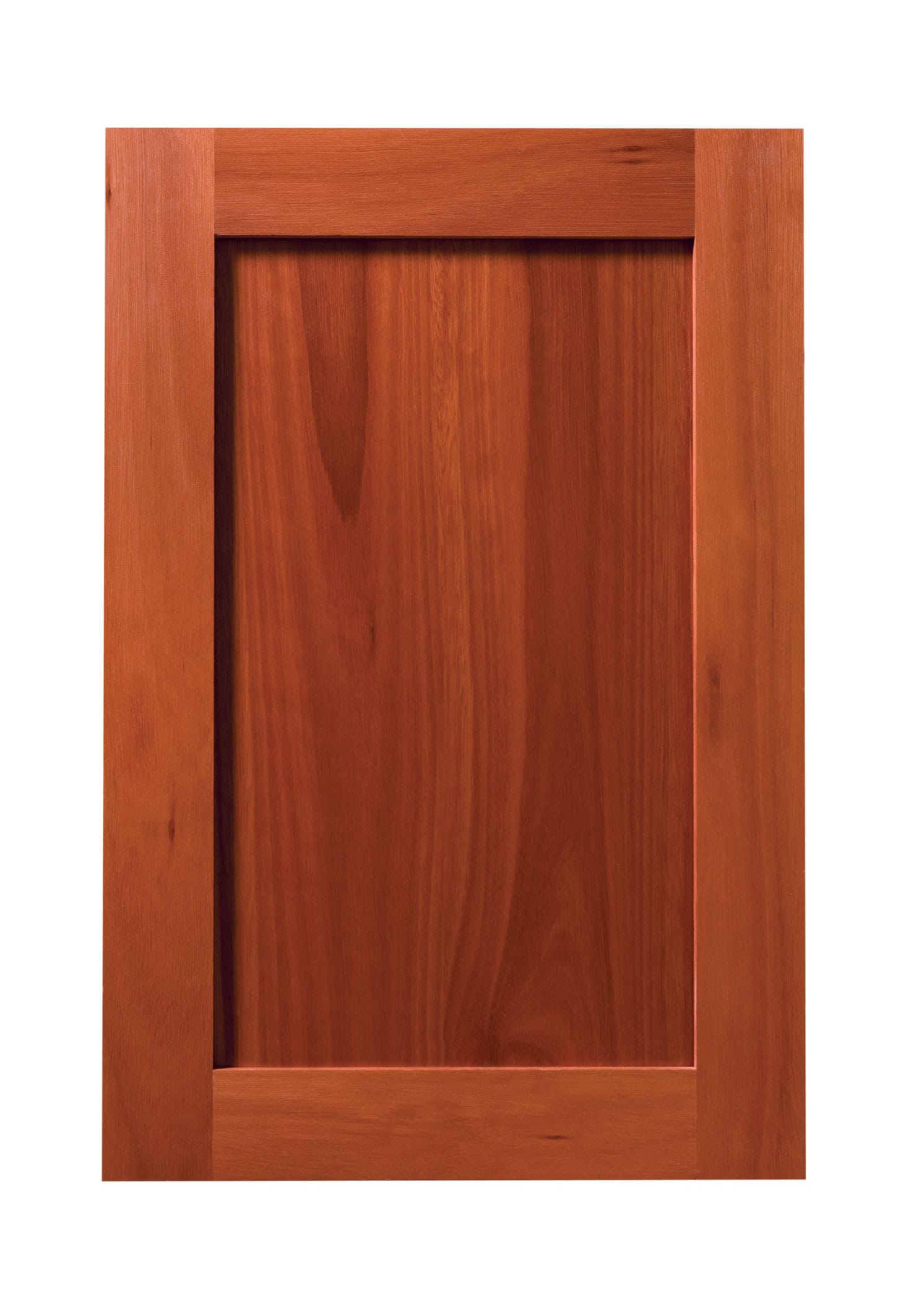 Gallery – Custom Built Door
