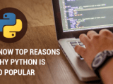 Top Reasons Why Python Programming Is So Popular Customerthink