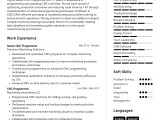 Associate Software Engineer Cv Example For 2024 Professional Cv