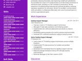 16 It Support Specialist Cv Examples For 2024 Top Cv Skills