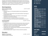 12 Food Server Cv Examples And Templates For 2024 Cvdesigner Ai