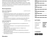 12 Programmer Resume Examples For 2024 Downloadable Templates