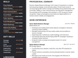 17 Media Analyst Cv Examples And Templates For 2026 Cvdesigner Ai