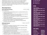 25 Backend Developer Cv Examples And Free Templates For 2026