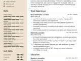 14 Media Specialist Cv Examples And Templates For 2024 Cvdesigner Ai
