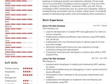 25 Backend Developer Cv Examples And Free Templates For 2026