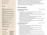28 Software Engineer Cv Examples Guide For 2024 Cvdesigner Ai