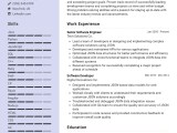 Programming Cv Example For 2026 Strategies Templates Cvdesigner Ai