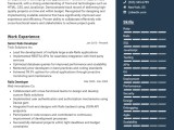 25 Backend Developer Cv Examples And Free Templates For 2026