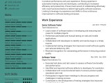 12 Software Tester Cv Examples For 2024 Best Writing Guide Cvdesigner Ai