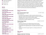 20 Technical Support Cv Examples And Free Templates For 2024