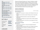 25 Backend Developer Cv Examples And Free Templates For 2026
