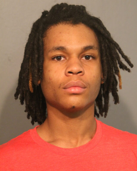 Alleged Lakeview package thief is charged with year-old Red Line ...