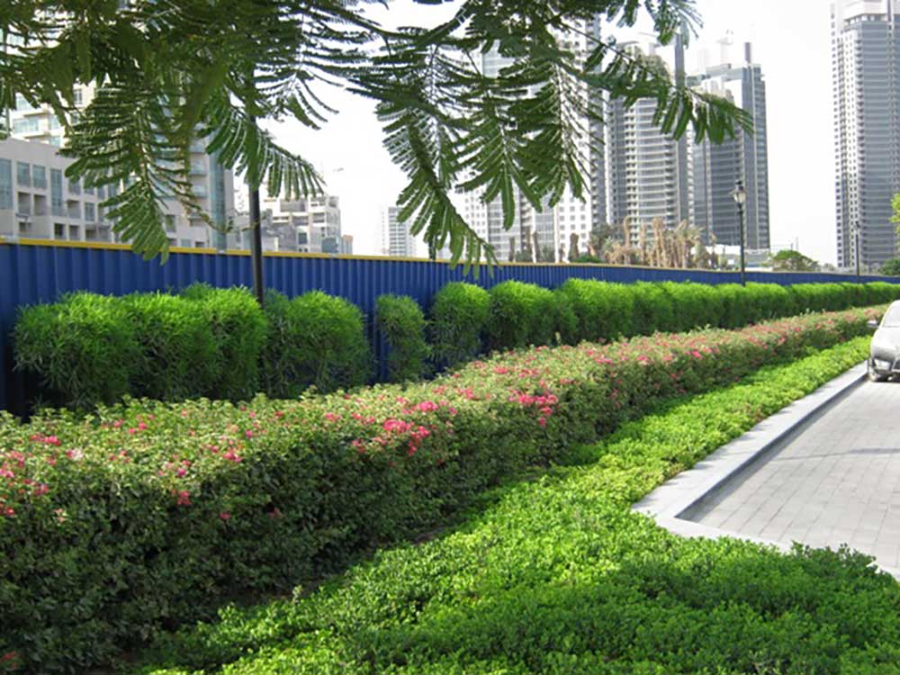 Landscaping Design Company In Dubai | Landscaping Services In Dubai