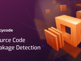 Source Code Leakage Detection