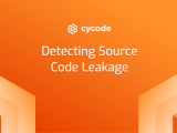 Detecting Source Code Leakage
