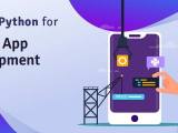 Mobile App Development Using Python Cases And Popular Applications