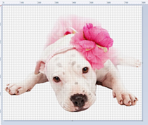 Use the MS Paint Grid – Cyn Mackley