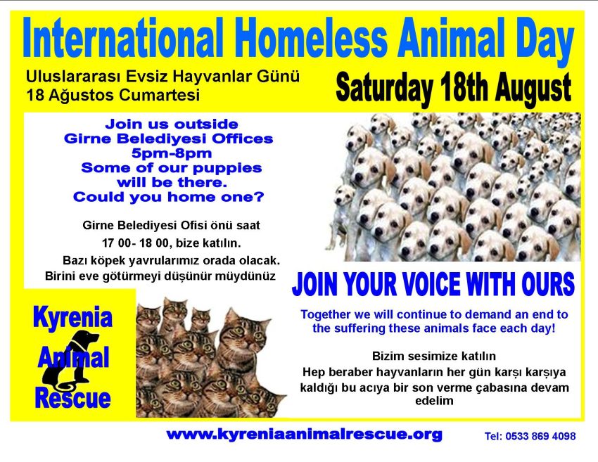 KAR and International Homeless Animals' Day - CyprusScene.com
