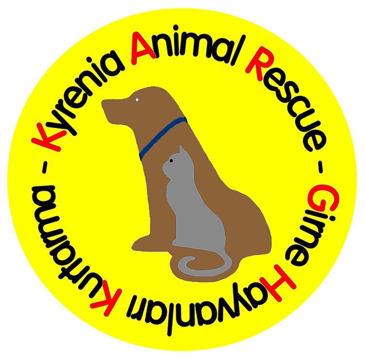 Kyrenia Animal Rescue Christmas Bazaar, North Cyprus - CyprusScene.com