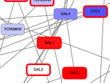 Basic Data Visualization In Cytoscape Web