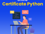 Python Certification Course Online Python Training 2025