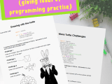 Python Turtle Lesson Teaching Resources
