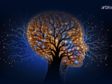 Transfer Learning In Deep Learning Using Pre Trained Models For Quick Wins