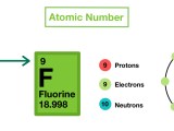 Atomic Number Definition Overview Expii